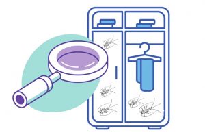 How to Remove Silverfish from Clothes and Books in Closet?